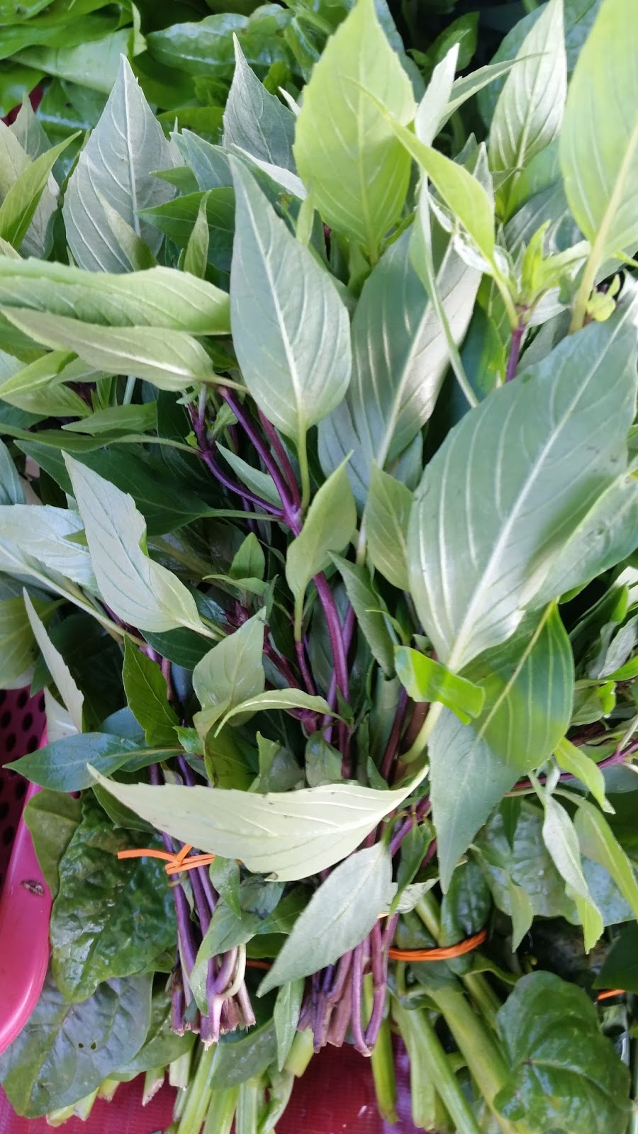 Warisan Petani: Pokok Selasih