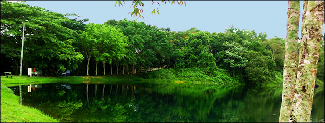 Foto Memori Ku: Taman Botani Johor