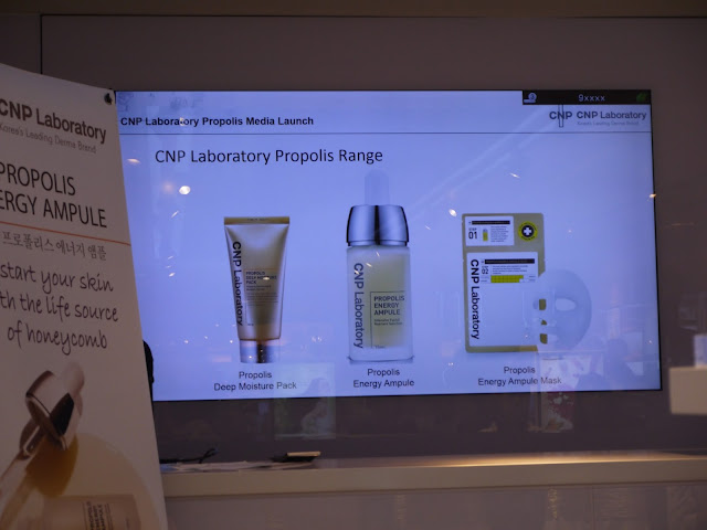EVERGREEN LOVE: CNP Laboratory Propolis - Restart Your Skin With The ...