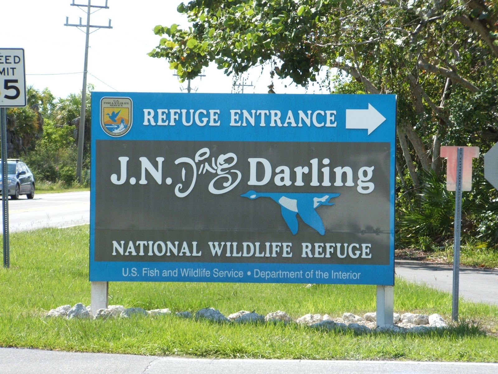 Rediscovering Florida: Ding Darling NWR RDF-06