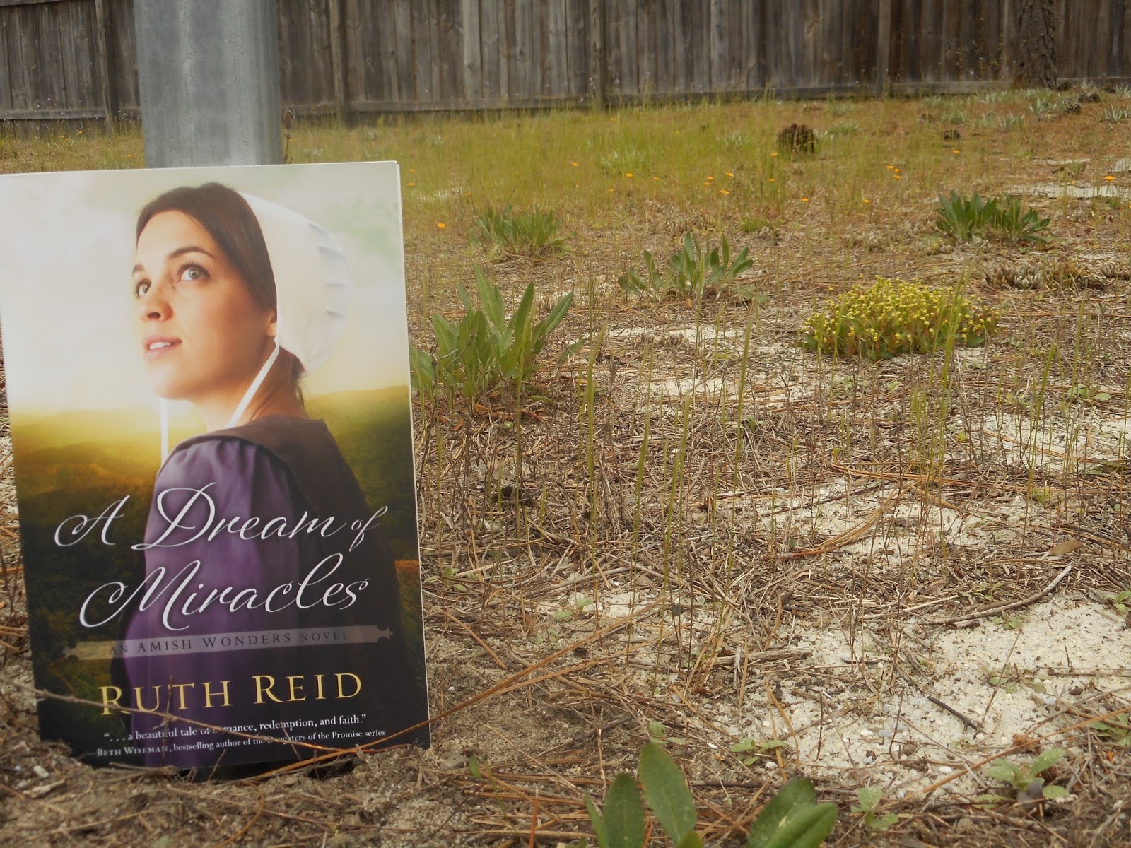 Spreading His Grace: My Bookshelf: A Dream of Miracles by Ruth Reid