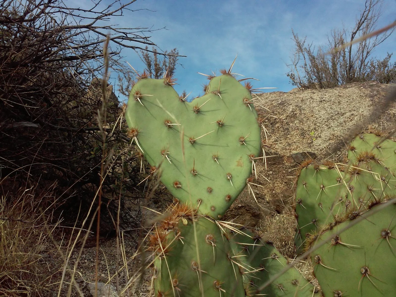 Raquel Z. Rivera, Ph.D.: About