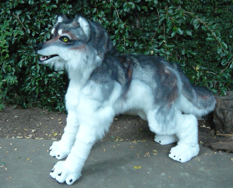 The Fur Side: Favorite Quad-Suits