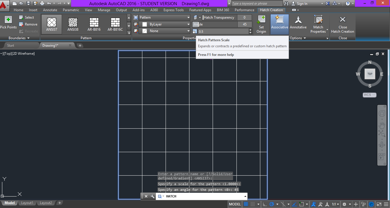 Joana Algarvio : 2015