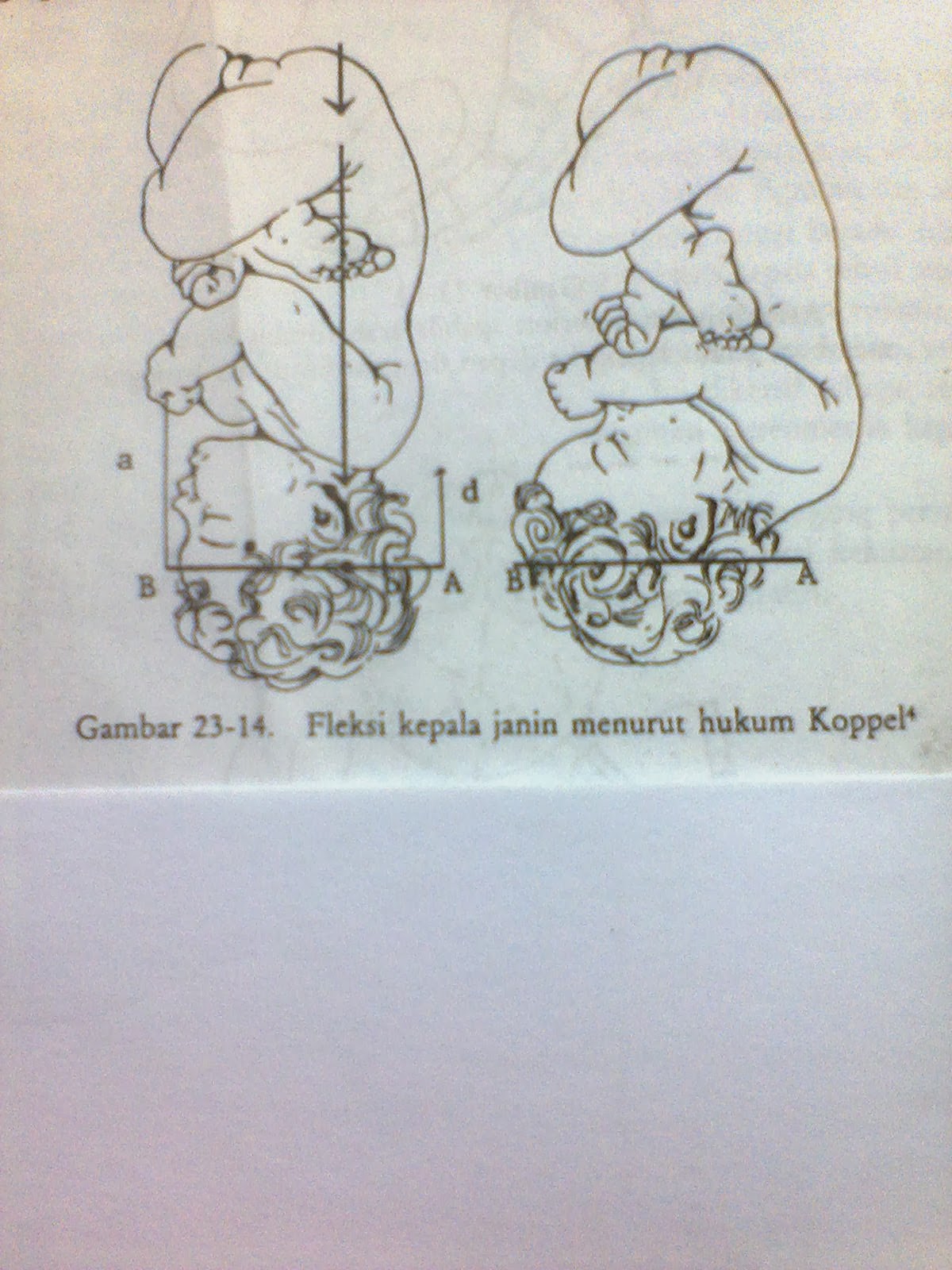 Belajar Yuk!: Mekanisme Persalinan