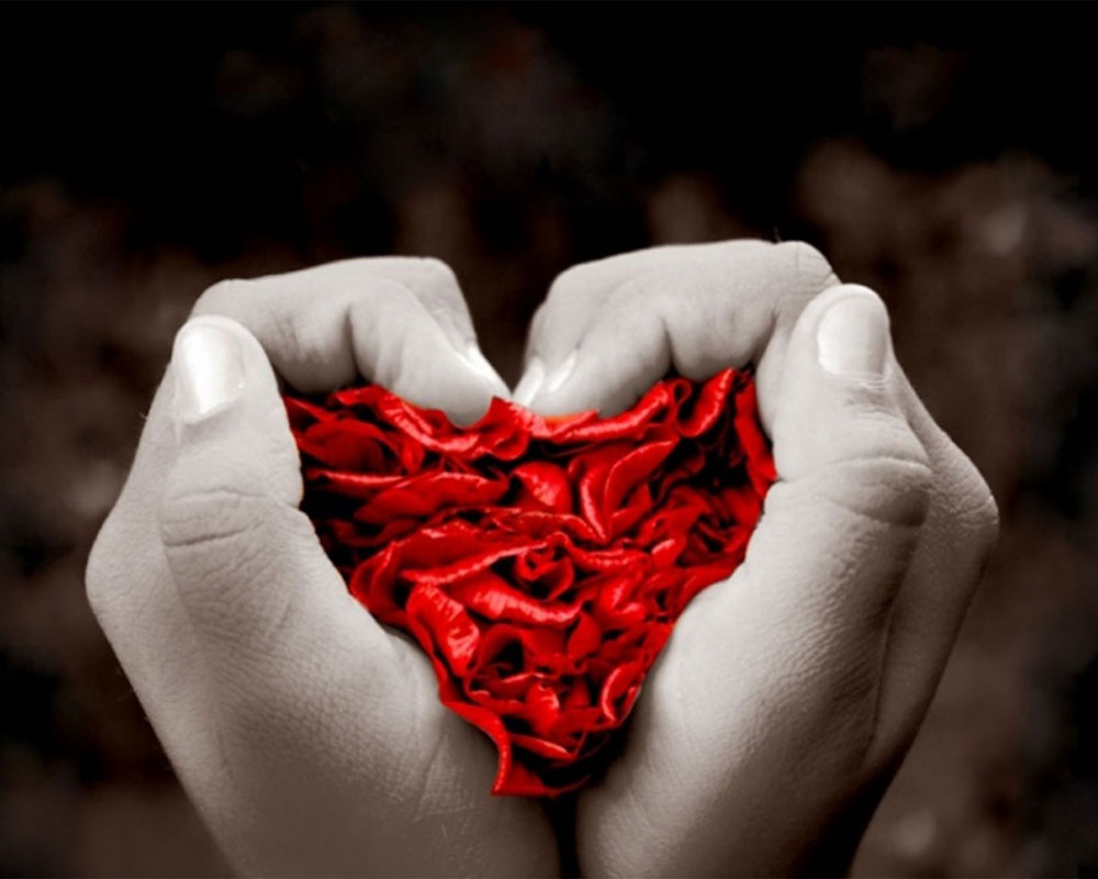 Mi corazon en tus manos - Imagenes de Amor