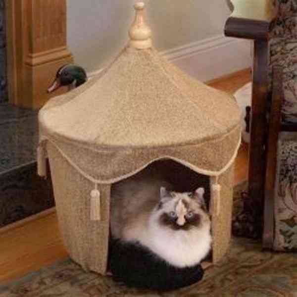 Aamir's Blog: Creative Cat Houses.....!!!!!
