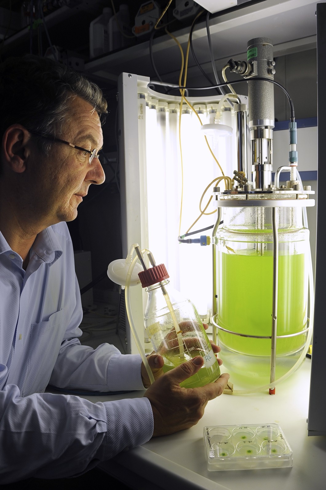 Real Scientists DE: Ohne Moos nix los - Ralf Reski ist jetzt bei Real ...