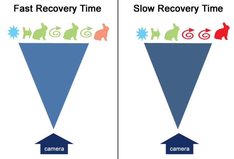 Remote Camera Trap - South Africa: Camera Trap Basics