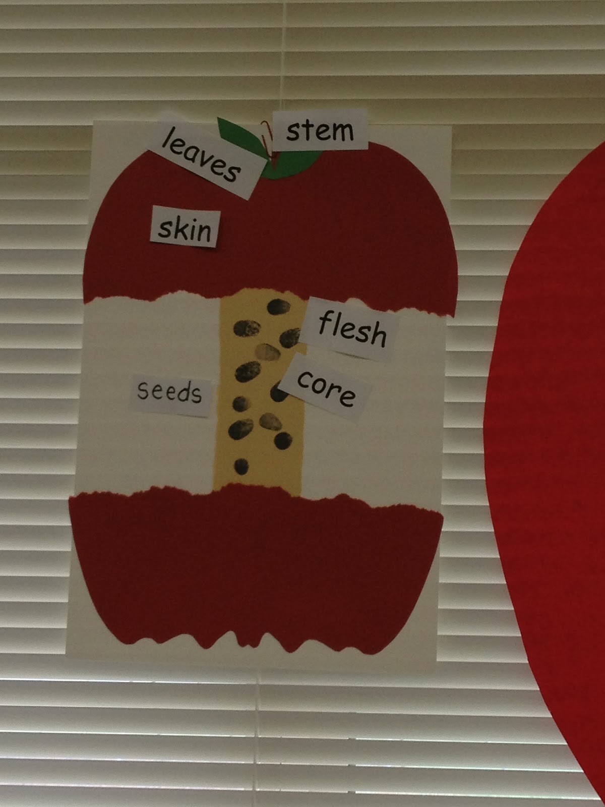 Adventures in Kindergarten: Apples, Apples Everywhere!