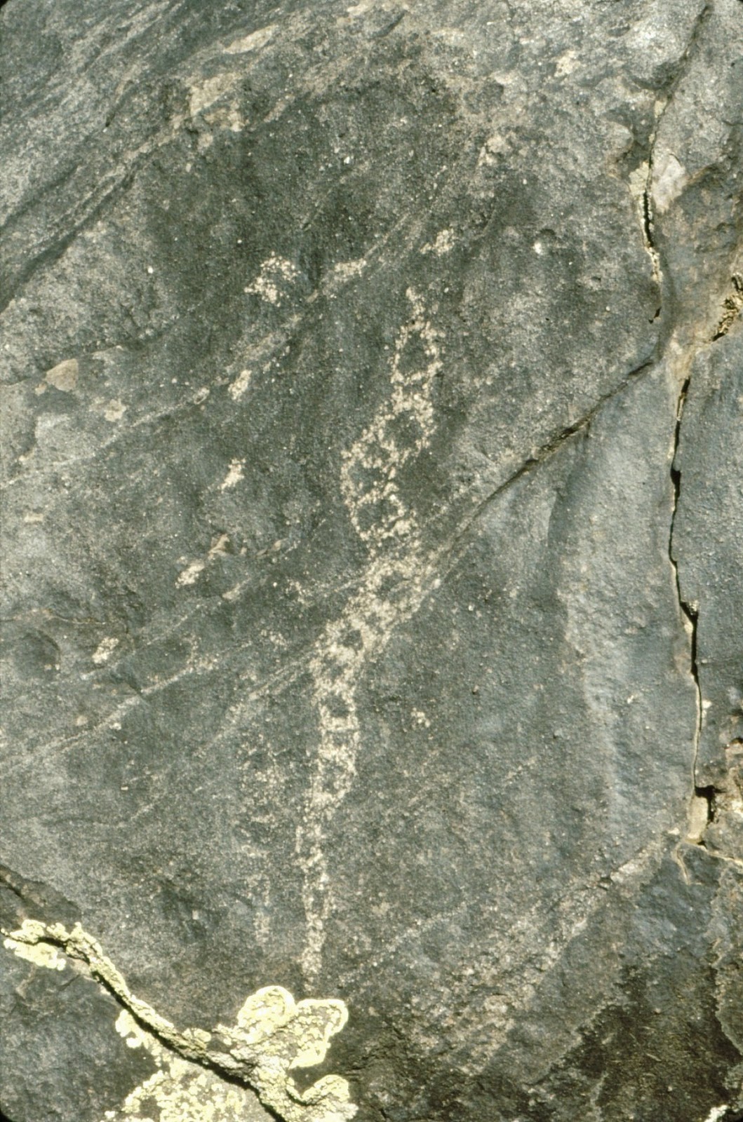 Rock Art Blog: HOPI CLAN SYMBOLS AS A LEXICON FOR ROCK ART IN THE ...