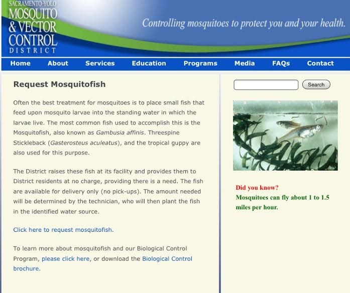 Sacramento Real Estate Blog, by Erin Stumpf: Did you know that the ...