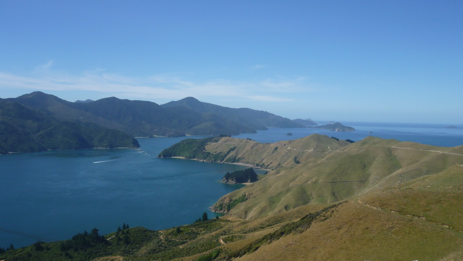 New-Zealand Adventure: Tondre des lamas à Cissy bay