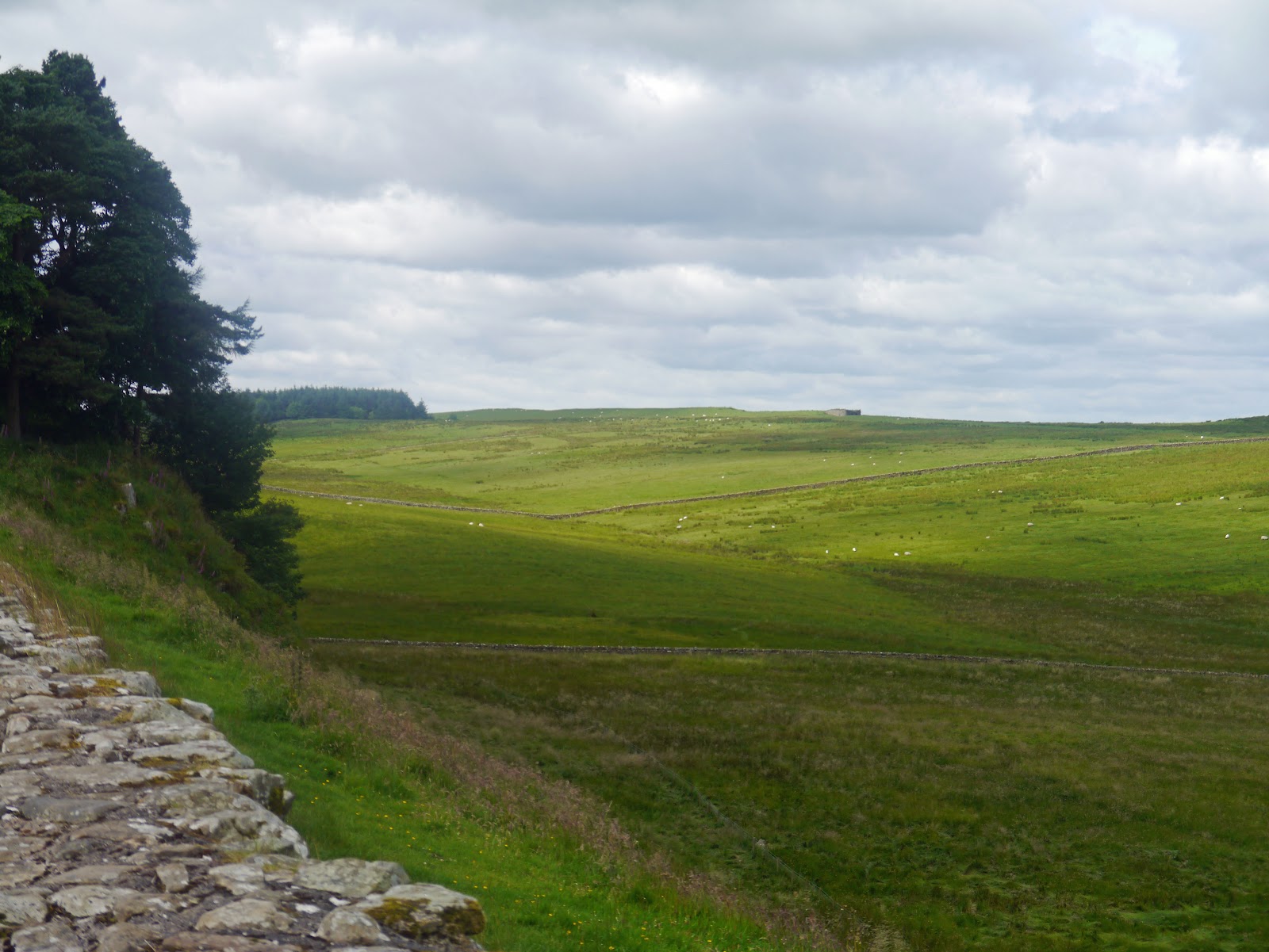 Photo blog: Newcastle-Hadrian's Wall-Housesteads Roman Fort-the Wall
