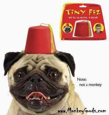 The KEN P.D. SNYDECAST EXPERIENCE: Fez!