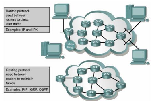 My study in Information Technology: Routing