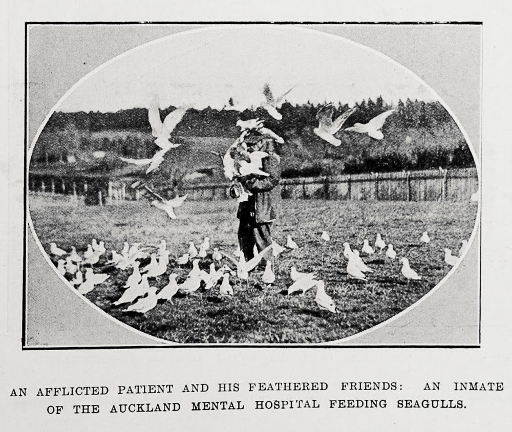 Reasons for Insane Asylum admissions in the Victorian era