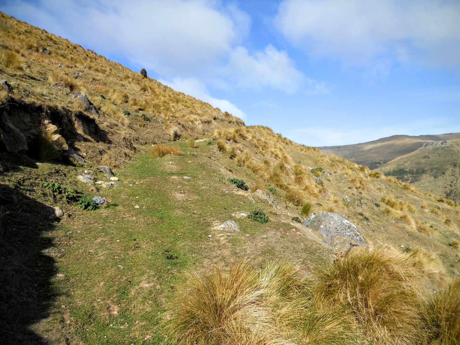 Tramping in the New Zealand backcountry: NZ Bush Adventures: Purau ...