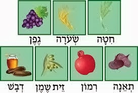 Ask Rabbi Hassan: Tu Bishvat and Fruticas: What's it all about?