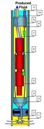 Electric Submersible Pumps: Bubble Shroud Completions