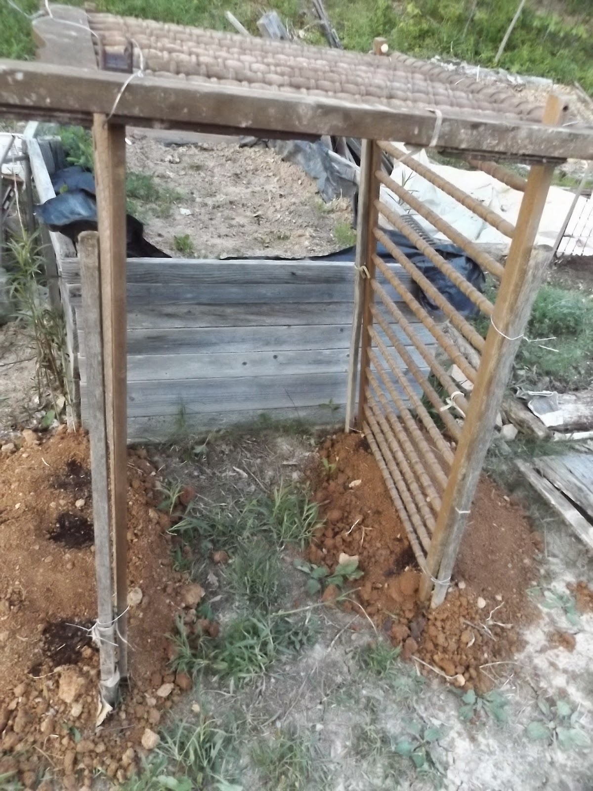 Vegans Living Off the Land: Growing Luffa, Birdhouse gourds & cucumbers ...