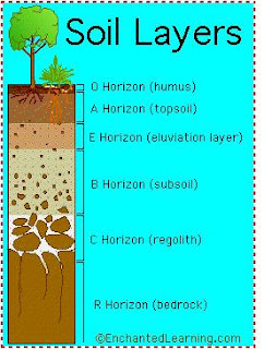 BUMI TEMPAT BERTEDUH: Soil Layers (Lapisan Tanah)