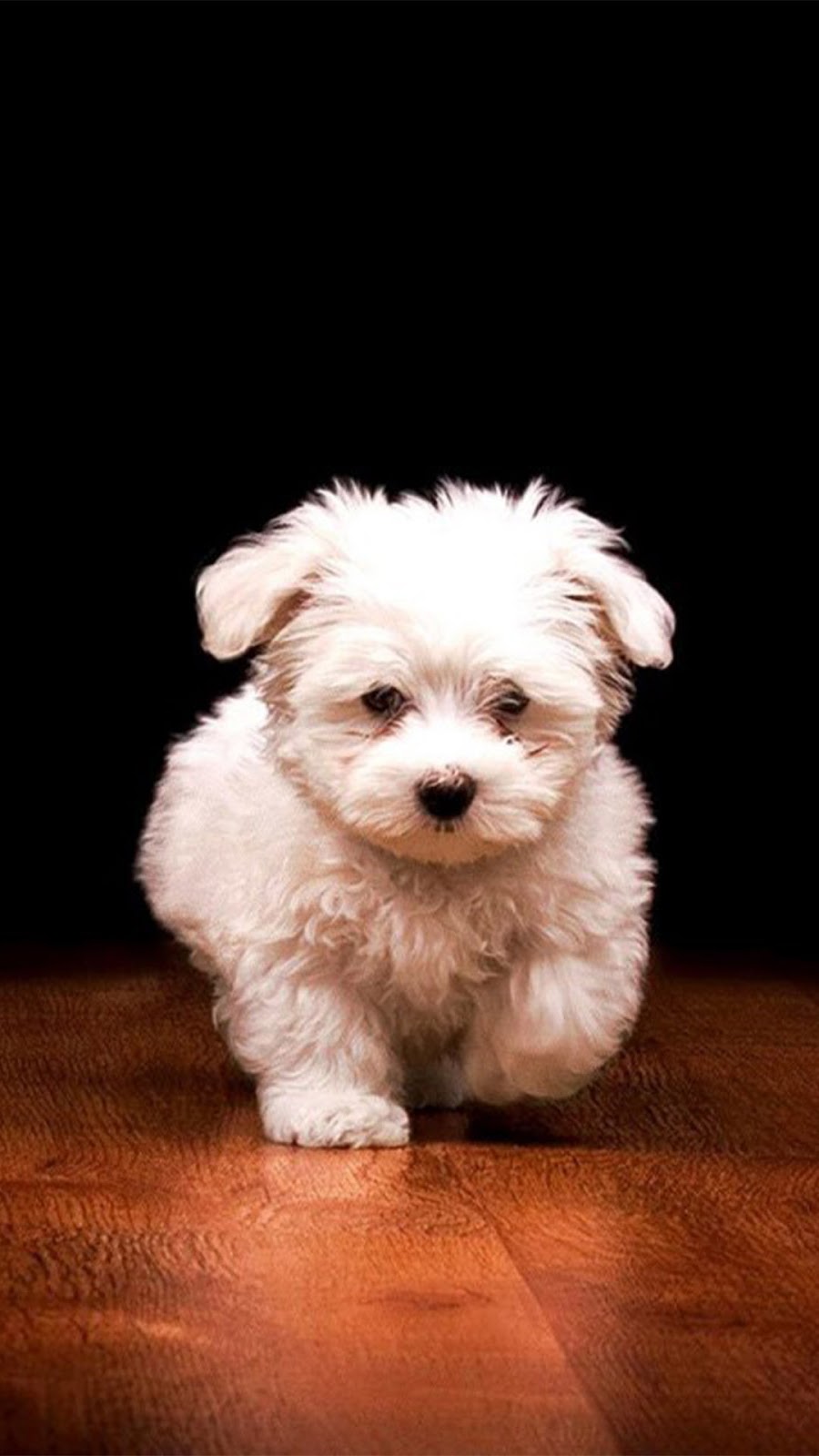 Fondo android pack 136