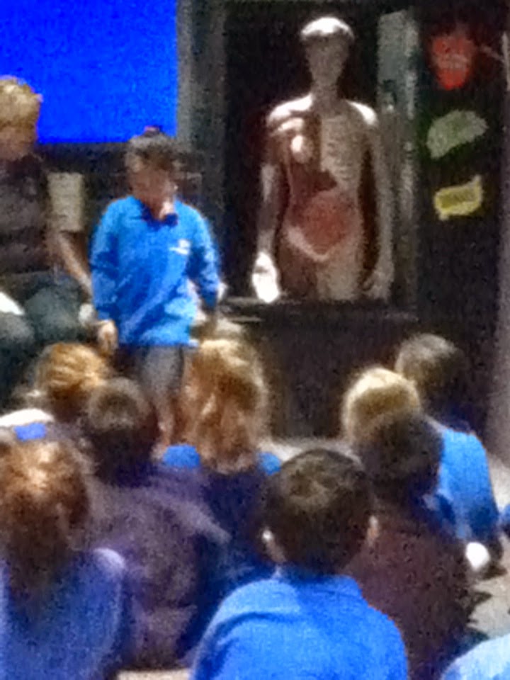 Lively Learners: Visiting Harold the giraffe in the Life Education Caravan