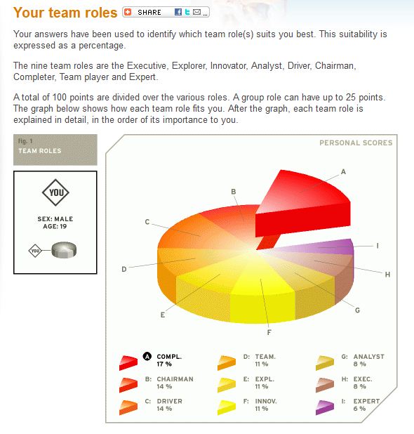 Learning for Success: Belbins Team Role Test