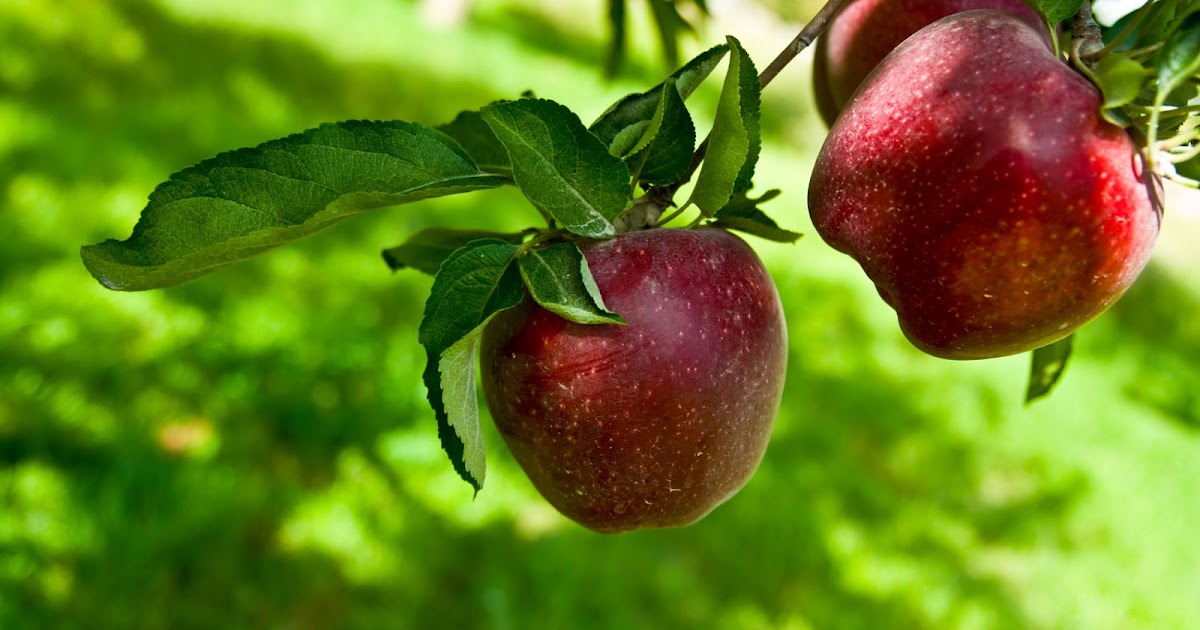 Ryo ...: Wow! Sekadar saja...