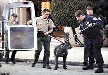 Four legged friends (and enemies): California: San Francisco fatal dog ...