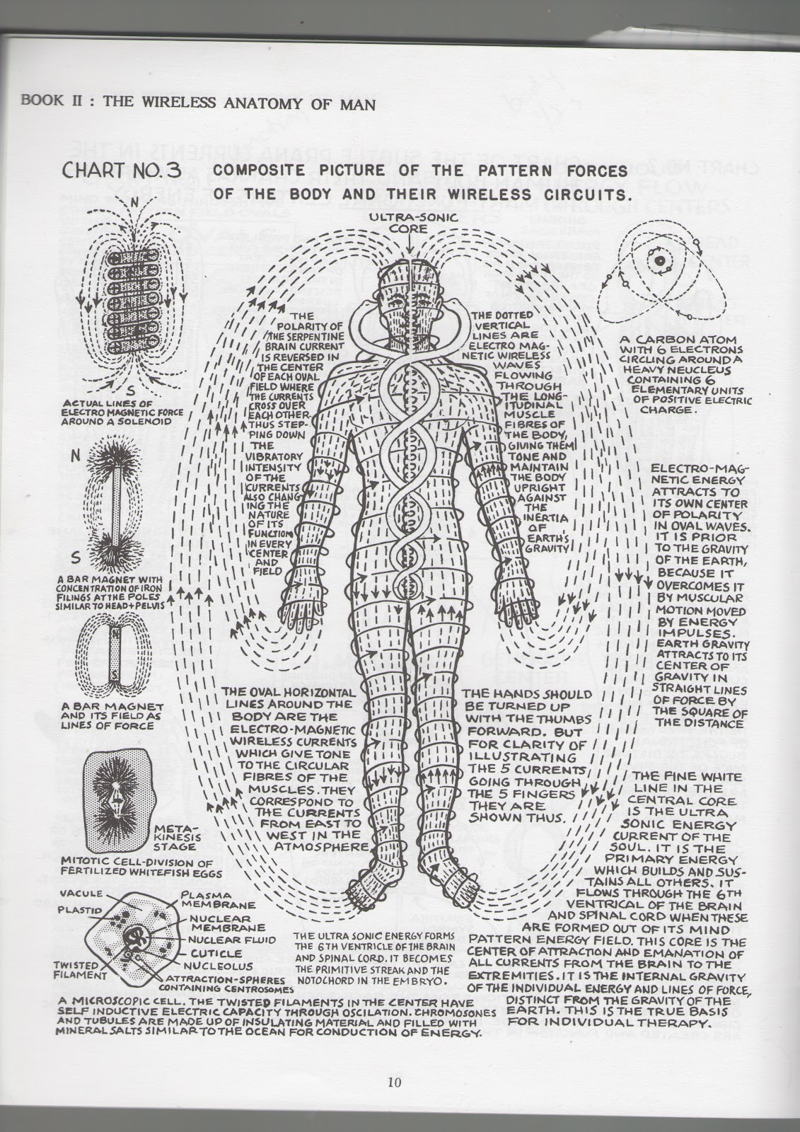 Shaman's Way: Shifting Magnetisms