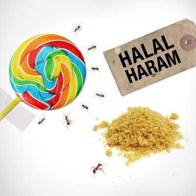 Bahan-bahan haram selain khinzir - Memahami makanan halal dan haram ...