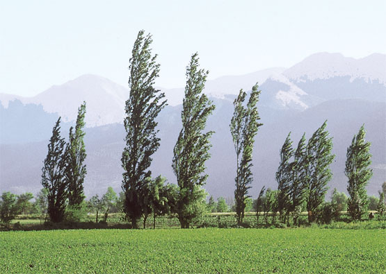 Climas en el planeta