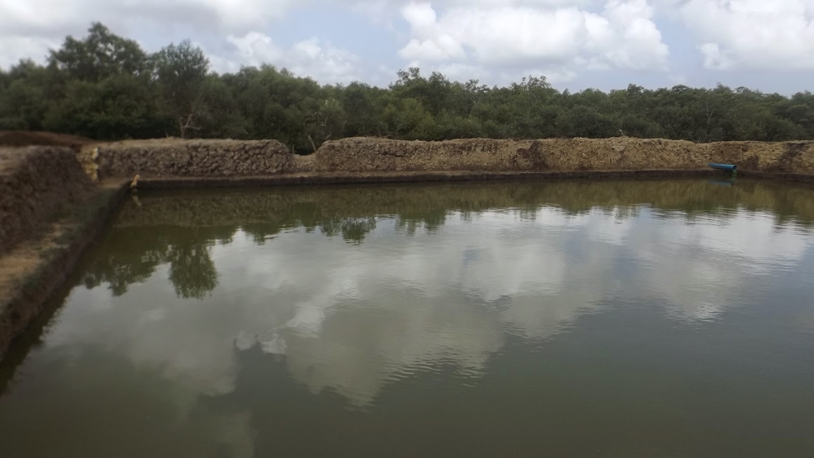 PEMBAHABARI : JKU YAANZISHA MABWAWA YA KUFUGIA SAMAKI HUKO KATIKA KAMBI ...