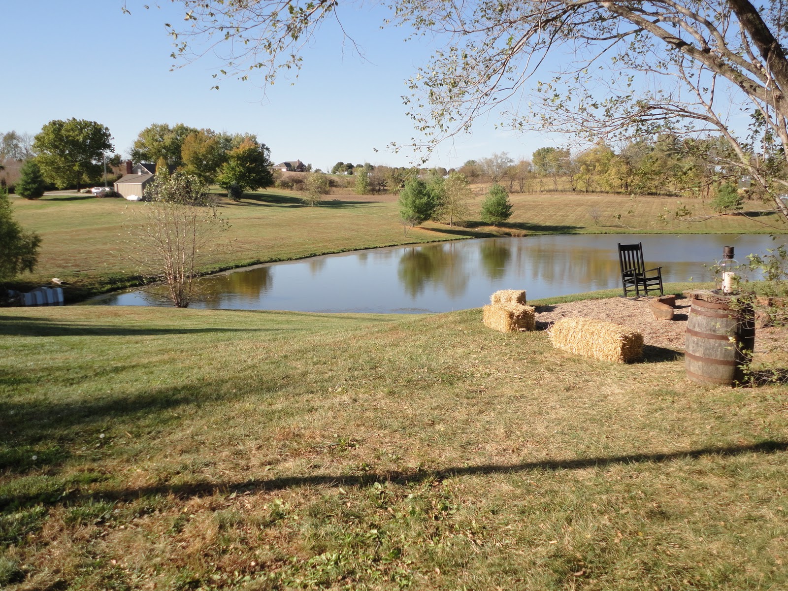 Fresh Air Farm..... where love is in the air!