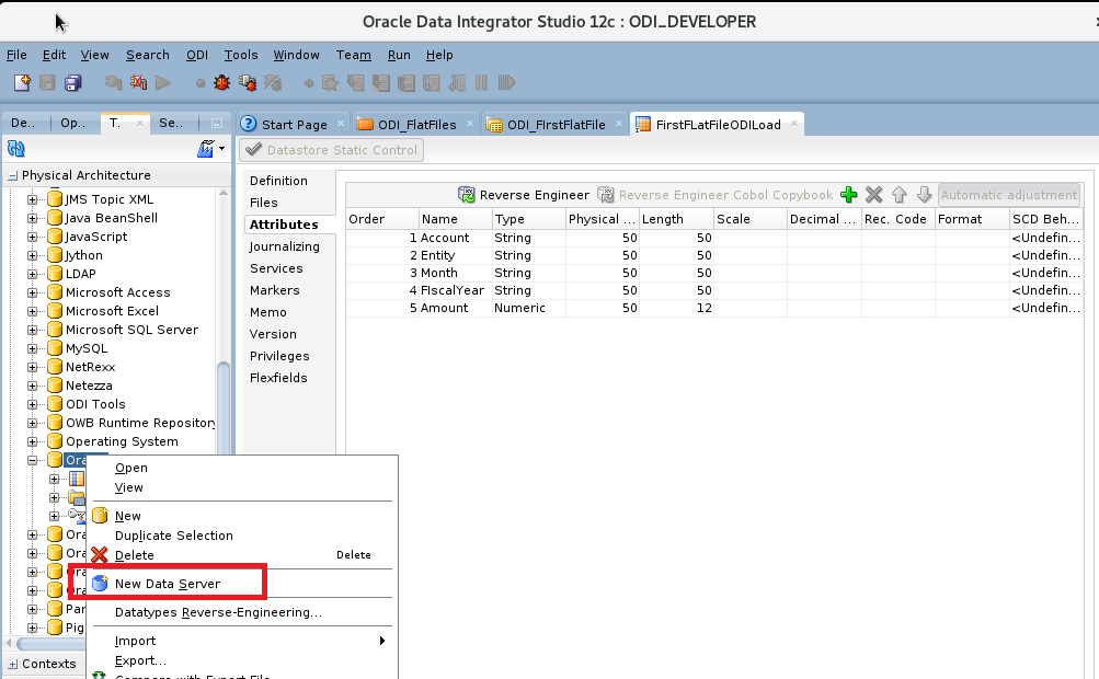 Exploits In Hyperion Loading Flat File Into Oracle Using Oracle Data Integrator Part 3