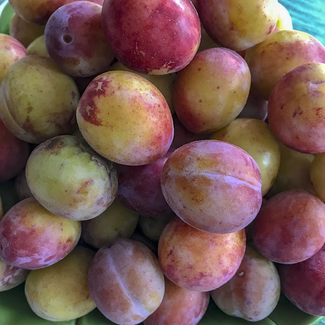 ninisworld: Plommon, plommon, plommon