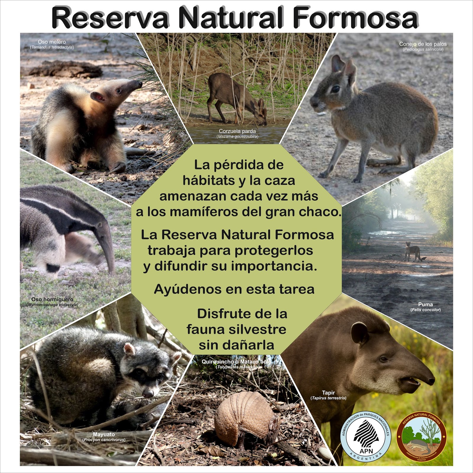 Reserva Natural Formosa: Nuevos pósters