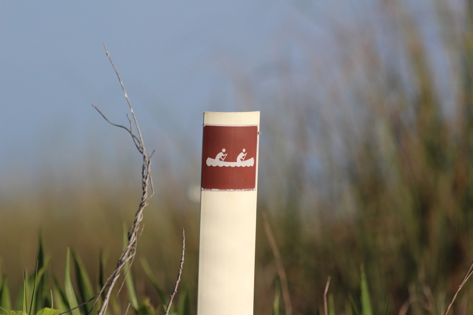 Views From Our Kayak: Arthur R Marshall Loxahatchee National Wildlife ...