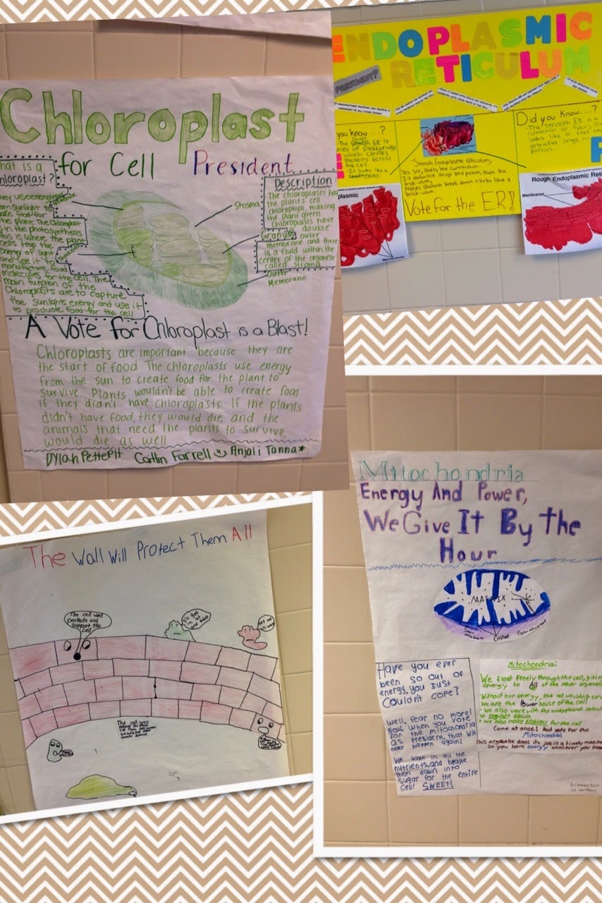 Lessons from a Middle School Science Classroom: The President of the Cell!