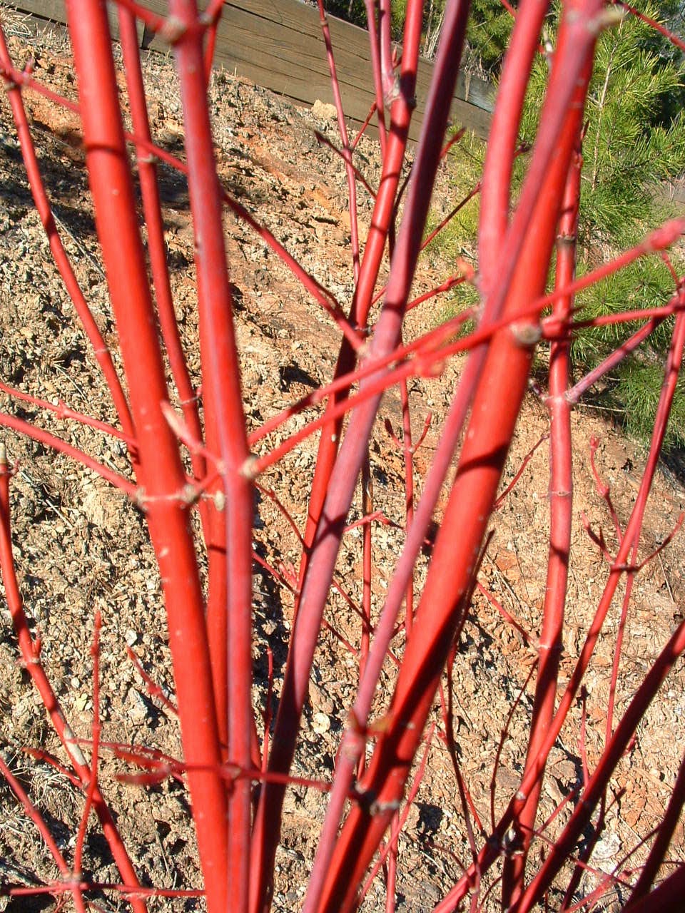 undergroundbasta - Blog