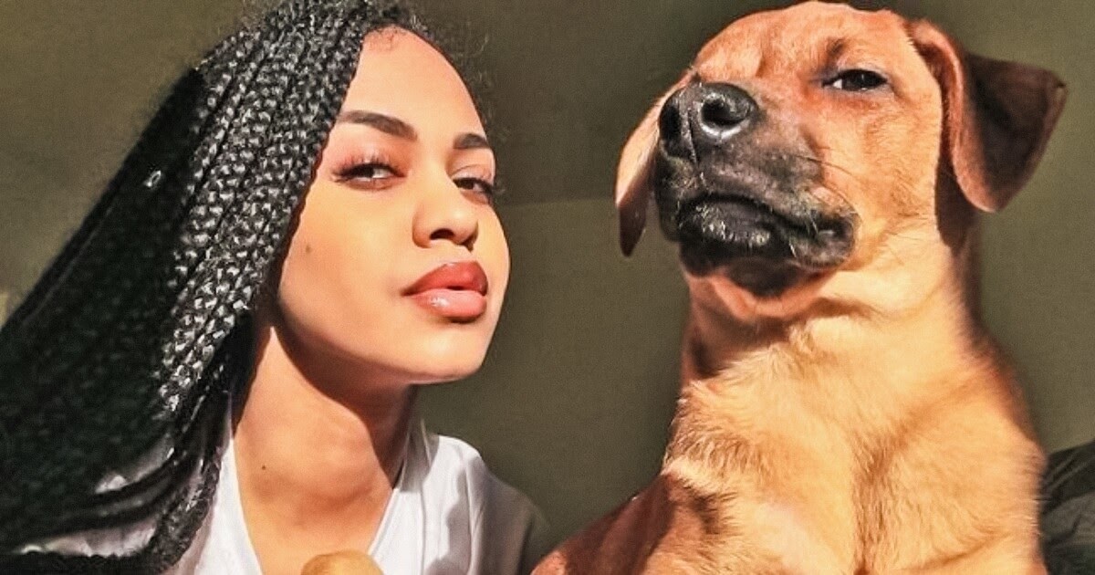 28 Hilarious Pictures Of Animals Imitating Their Humans Perfectly