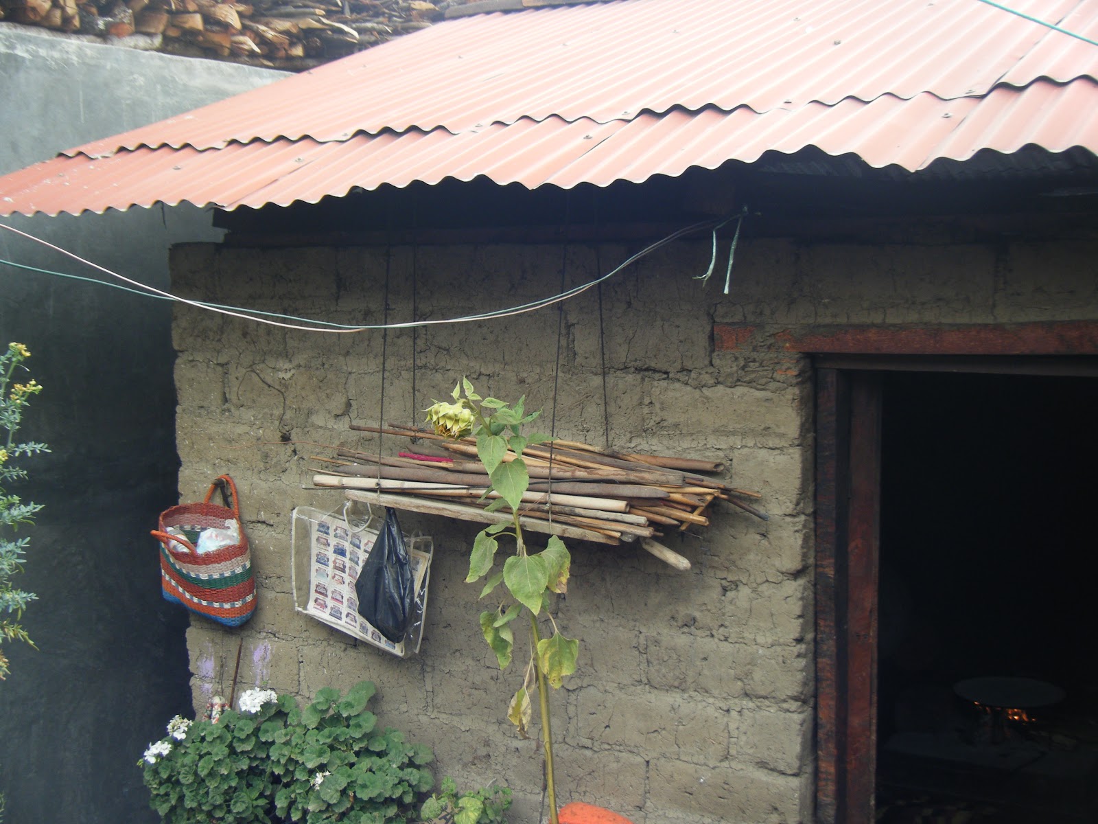The Deep Roots of Oaxaca: Traditional Backstrap Loom Weaving....