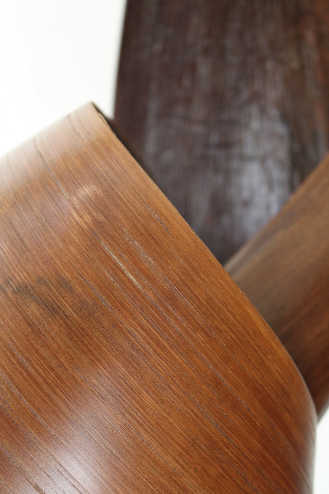 INEDIT: Esculturas de hojas de Pambil