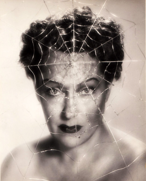 Vintage Movie Star Photos: Theatre and Film Photographer Marcus Blechman