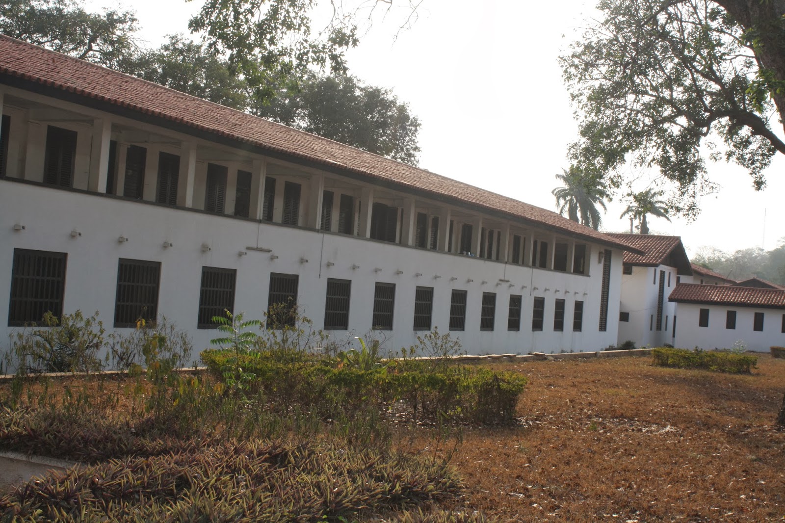 Life Of An African Immigrant: Have you ever wondered how a university ...