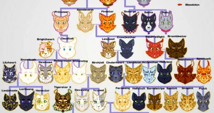 Warrior Cats Bluestars Family Tree | Best Wallpapers HD Collection