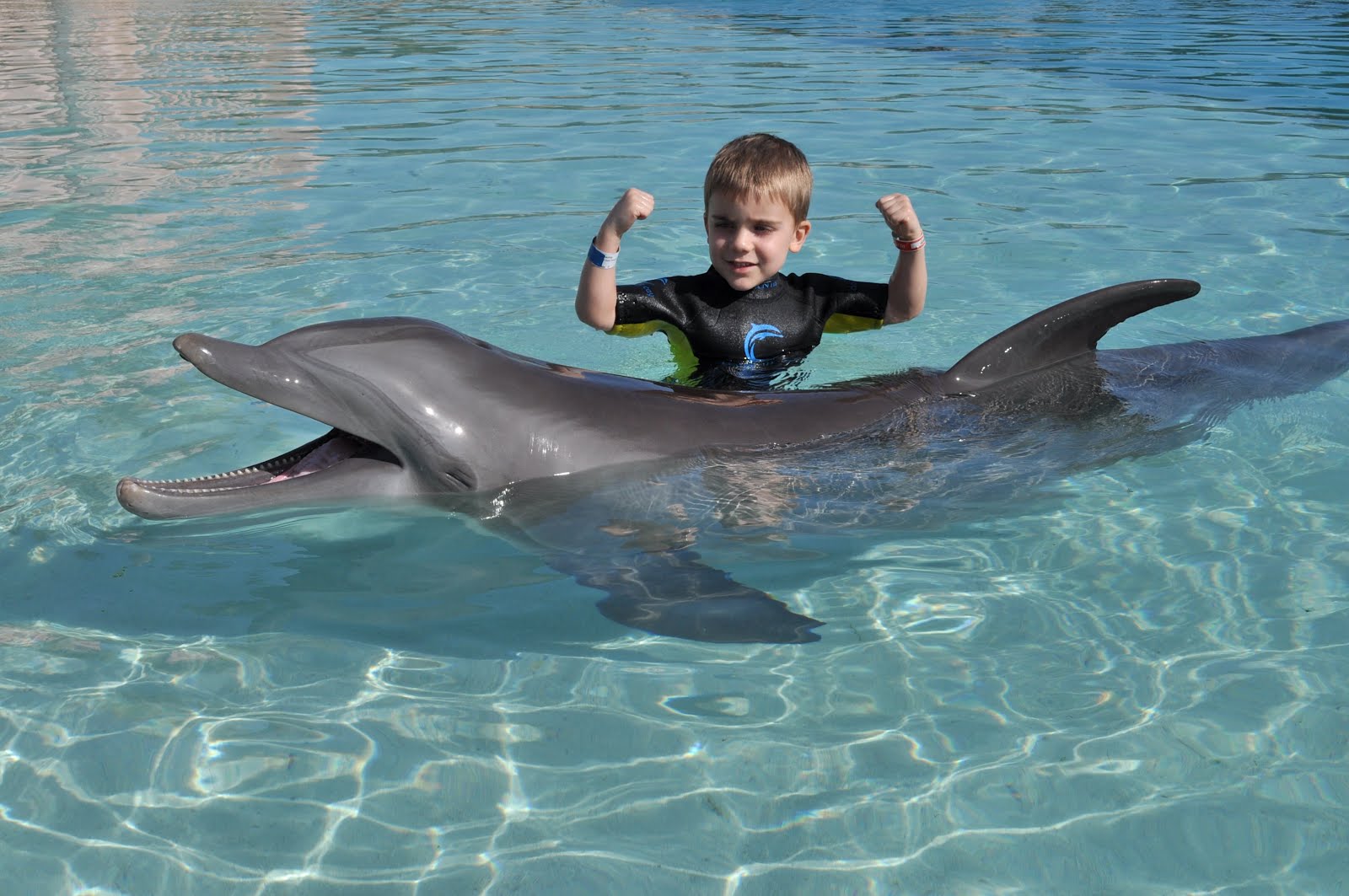The Baima Family Blog: Swimming with Dolphins