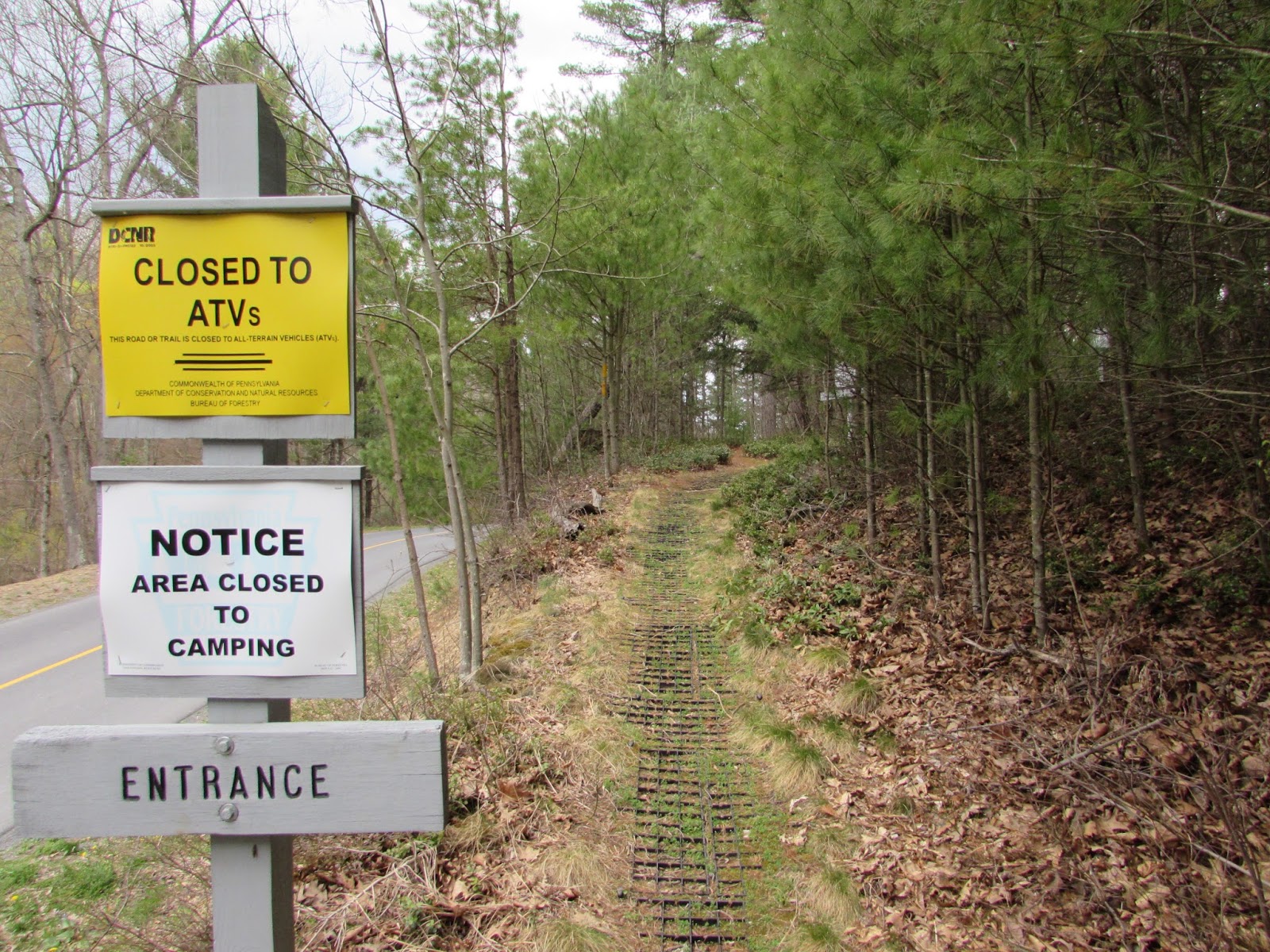 One of the World's Oldest Organisms: Hoverter & Sholl Box Huckleberry ...